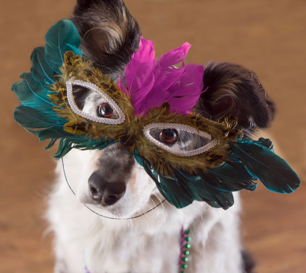 It's Time to Have Fun - Tamanend's Continuing Blog Series